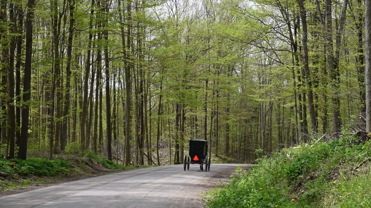 Spring Along the Amish Trail | Amish Trail