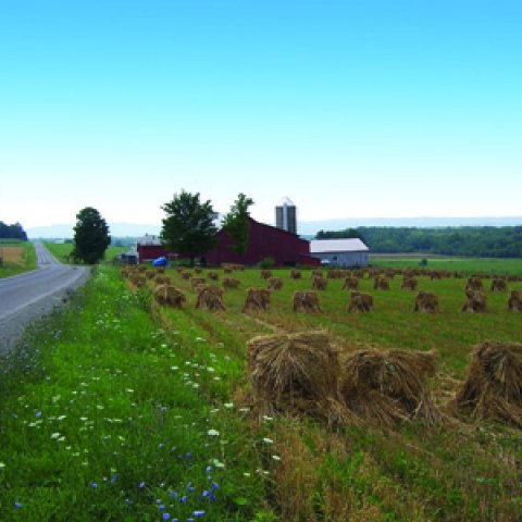Slow Down Along the Amish Trail | Amish Trail