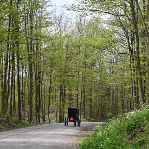 Slow Down Along the Amish Trail | Amish Trail