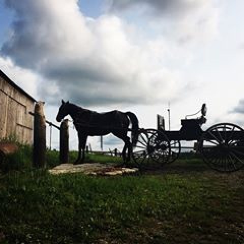 Slow Down Along the Amish Trail | Amish Trail